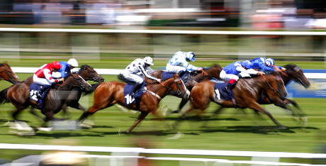 Horse Racing - 8 Jul 2016 Stock Pictures, Editorial Images and Stock ...