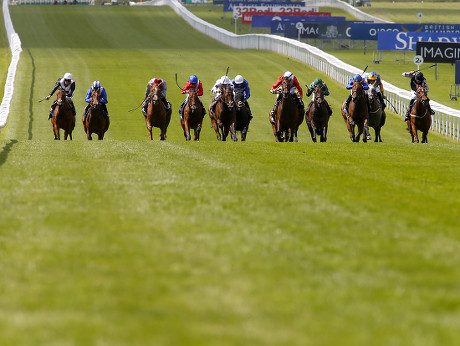 Horse Racing - 8 Jul 2016 Stock Pictures, Editorial Images and Stock ...