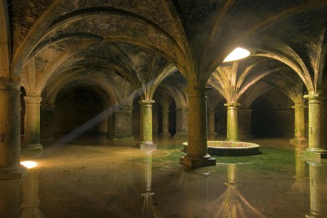 52 Arched back Stock Pictures, Editorial Images and Stock Photos ...
