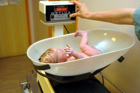 1 Infant being weighed Stock Pictures, Editorial Images and Stock ...