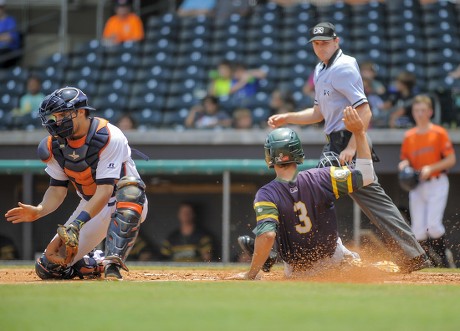 500 Snappers Stock Pictures, Editorial Images and Stock Photos ...