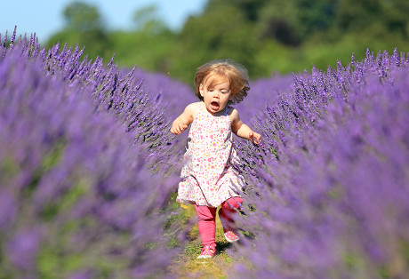 Robyn Aged 20 Months Pictured Mayfield Editorial Stock Photo - Stock ...