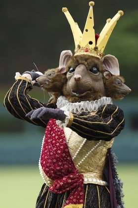 Philadelphia Ballet Mouse King Throws Opening Editorial Stock Photo ...