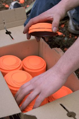 Box Clay Pigeons Editorial Stock Photo - Stock Image | Shutterstock