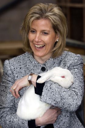 __COUNT__ SOPHIE, COUNTESS OF WESSEX AT THE OPENING OF THE MAIN BARN AT ...