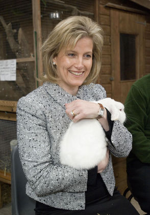 __COUNT__ SOPHIE, COUNTESS OF WESSEX AT THE OPENING OF THE MAIN BARN AT ...
