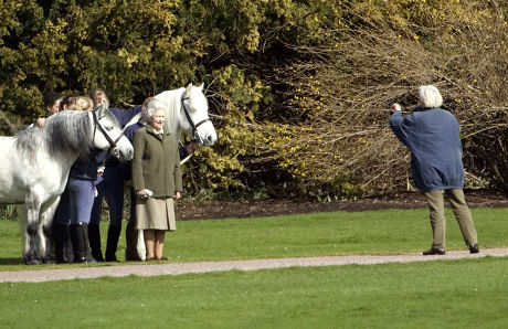 43 British stable 2 2nd Stock Pictures, Editorial Images and Stock ...