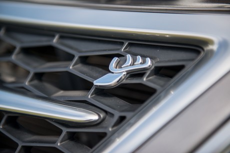 Saab Front Grill Hirsch Badge Hirsch Editorial Stock Photo - Stock ...