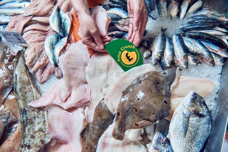 Price Crunch Signage Put Out Fishmongers Editorial Stock Photo - Stock ...
