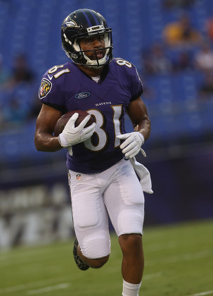 Baltimore Ravens Wr Keenan Reynolds 81 Editorial Stock Photo - Stock ...