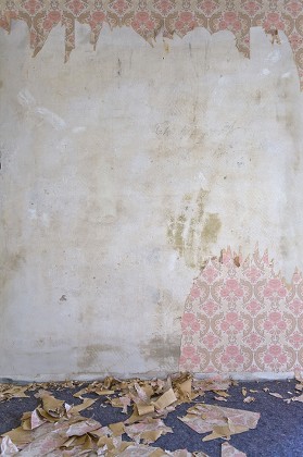 Old Wallpaper Sixties Being Torn Scraped Editorial Stock Photo - Stock ...