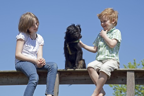 250 German boy smiles Stock Pictures, Editorial Images and Stock Photos ...