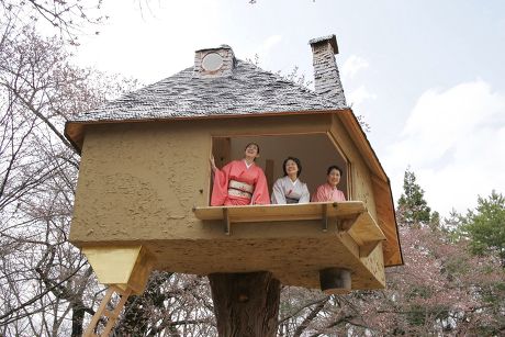Japanese Tea Ceremony Room Built Treehouse Editorial Stock Photo ...