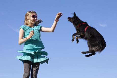 500 Trick tricks Stock Pictures, Editorial Images and Stock Photos ...