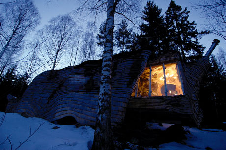 Original 1800s Built Wooden Treehouse Has Editorial Stock Photo - Stock ...