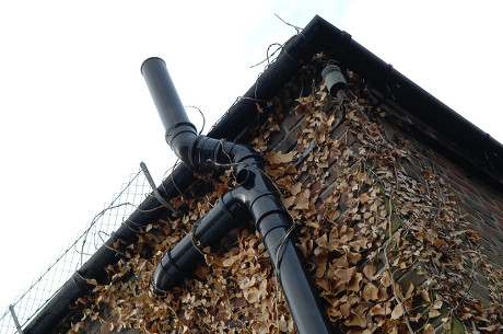 92 Rain gutter Stock Pictures, Editorial Images and Stock Photos ...