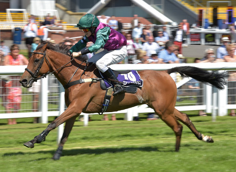 Finn Muirhead Riding Girl Wins Charles Editorial Stock Photo - Stock ...