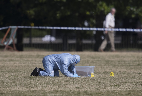 Body discovered in Hyde Park, London, UK - 12 Aug 2016 Stock Pictures ...