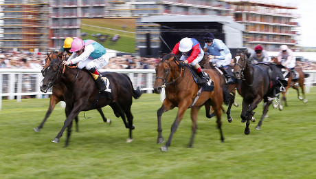 imágenes de Horse Racing - 13 Aug 2016 - Imágenes de stock, imágenes ...