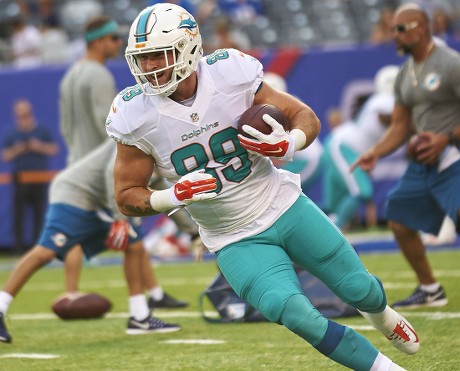 Dolphins Tight End Gabe Hughes 89 Editorial Stock Photo - Stock Image ...