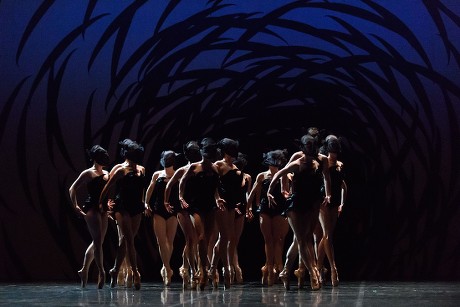 Emergence Choreographed By Crystal Pite Editorial Stock Photo - Stock ...