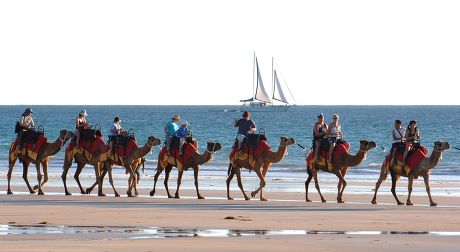 63 Camel trains Stock Pictures, Editorial Images and Stock Photos ...