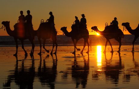 63 Camel trains Stock Pictures, Editorial Images and Stock Photos ...