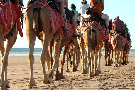 63 Camel trains Stock Pictures, Editorial Images and Stock Photos ...