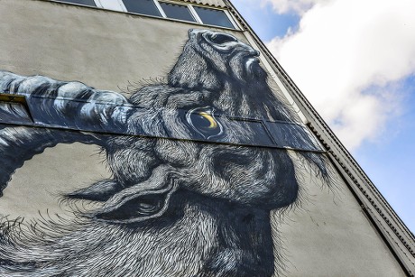 Work Roa Belgium His Animals Murals Editorial Stock Photo - Stock Image ...