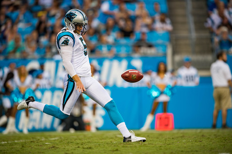 Carolina Panthers Punter Mike Scifres 5 Editorial Stock Photo - Stock ...
