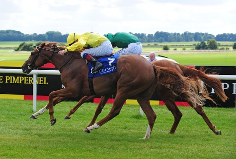 Cork Black Warrior Philip Enright Win Editorial Stock Photo - Stock ...