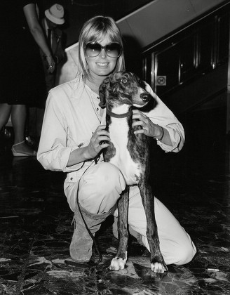 Actress Bo Derek Heathrow Airport Her Editorial Stock Photo - Stock ...