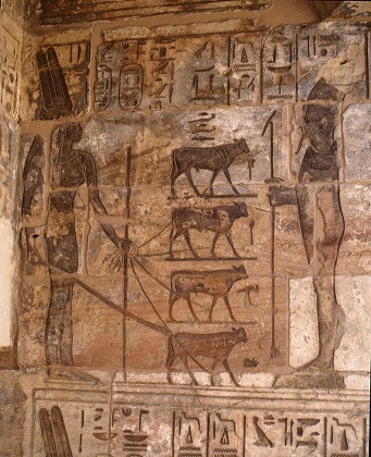 Princess Amenardis Daughter King Napata Kachta Editorial Stock Photo ...