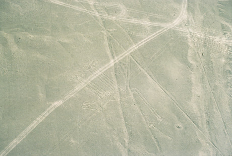 30 Nasca lines Stock Pictures, Editorial Images and Stock Photos ...
