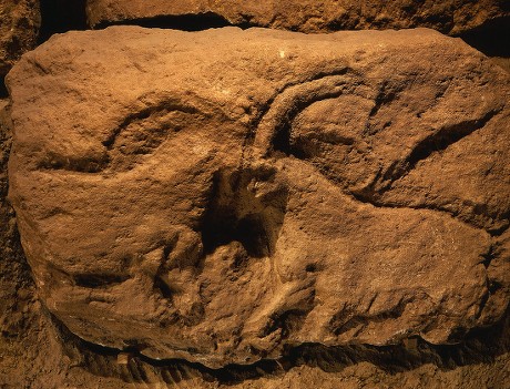 Grimaldi Venus Called Hermaphrodite Paleolithic Neolithic ...