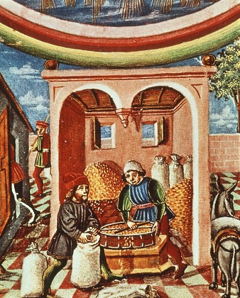 Grain Merchant 16th Century Manuscript De Editorial Stock Photo - Stock ...