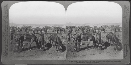 250 African cavalry Stock Pictures, Editorial Images and Stock Photos ...