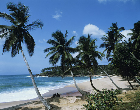 View South Coast Island Ceylon Sri Editorial Stock Photo - Stock Image ...