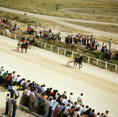 Malta Horse Racing Marsa Sports Ground Editorial Stock Photo - Stock ...