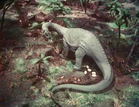44 Brontosaurus Stock Pictures, Editorial Images and Stock Photos ...