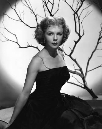 Sally Forrest Editorial Stock Photo - Stock Image | Shutterstock