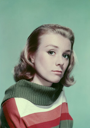 Inger Stevens Editorial Stock Photo - Stock Image | Shutterstock