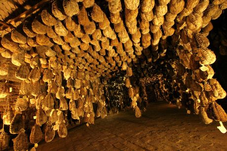 Production Culatello Zibellino Famous Ham Parma Editorial Stock Photo ...