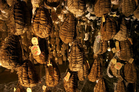 Production Culatello Zibellino Famous Ham Parma Editorial Stock Photo ...