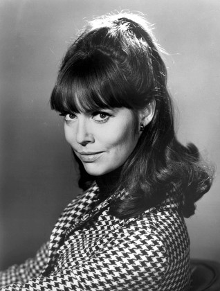 Barbara Feldon Editorial Stock Photo - Stock Image | Shutterstock