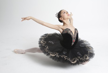 Miko Fogarty Editorial Stock Photo - Stock Image | Shutterstock