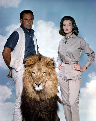 William Holden Zamba Capucine Editorial Stock Photo - Stock Image ...