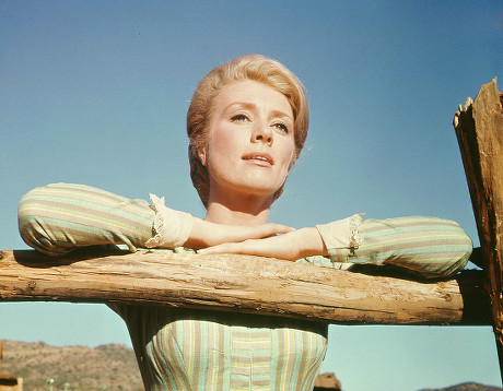 Inger Stevens Editorial Stock Photo - Stock Image | Shutterstock