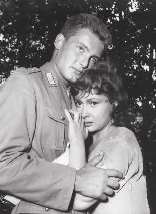 Roberto Risso Gina Lollobrigida Editorial Stock Photo - Stock Image ...