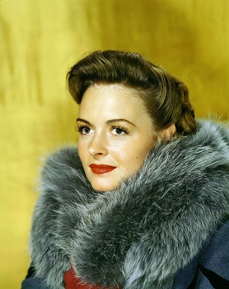 Donna Reed Editorial Stock Photo - Stock Image | Shutterstock